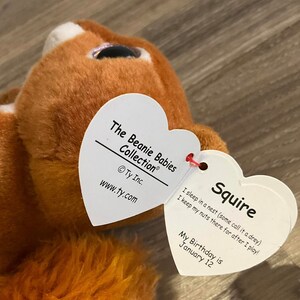 Ty Beanie Boos Squire the Squirrel Stuffed Animal Plush Toy 7" - Etsy