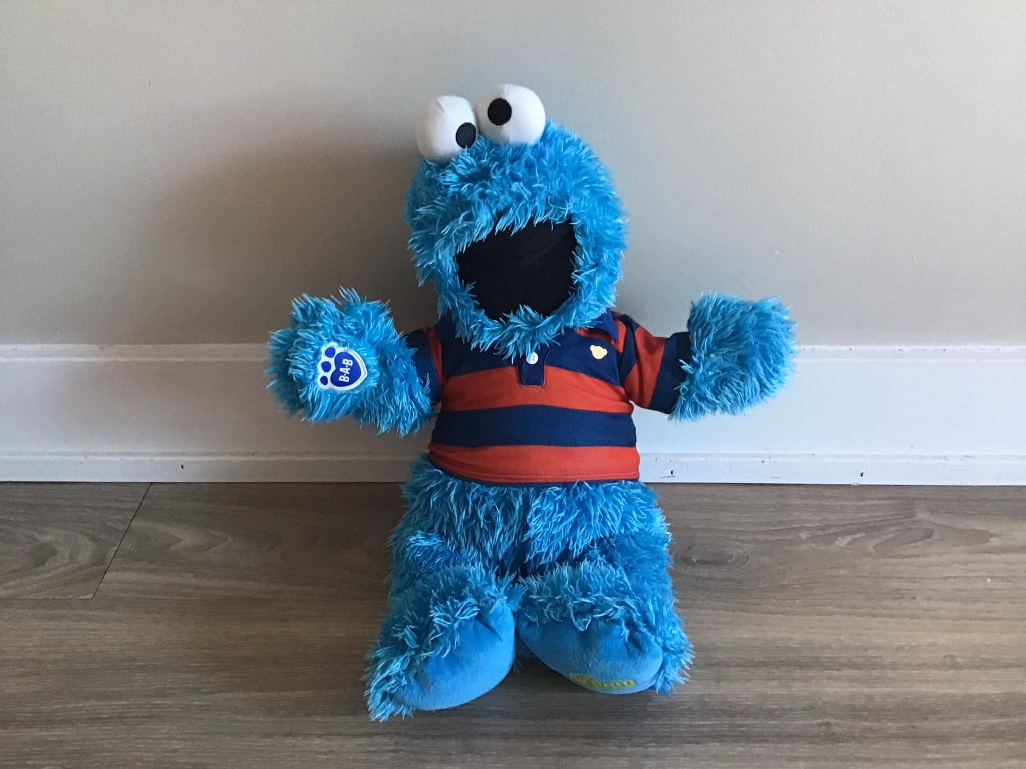 Cookie monster teddy bear store