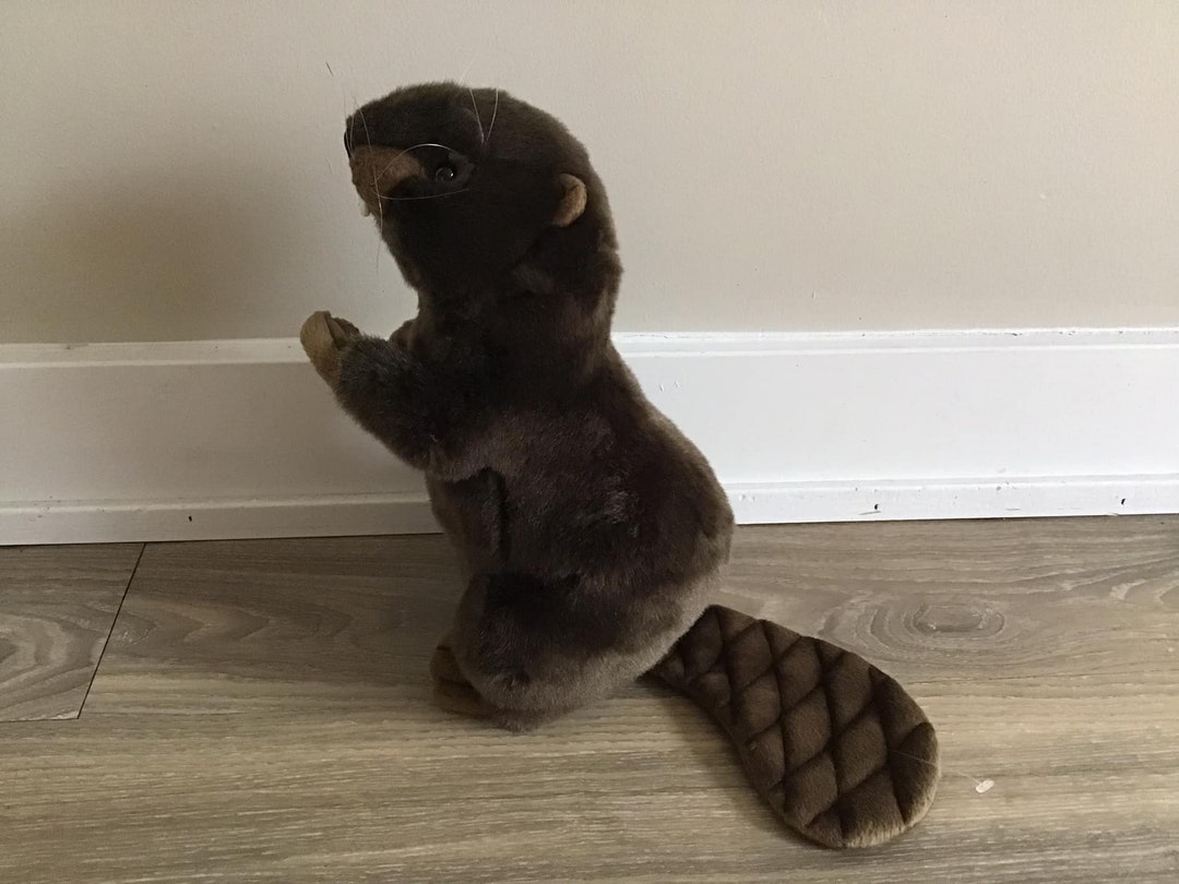 Realistic Beaver Stuffed Animal Plush Toy 12 - Etsy Australia
