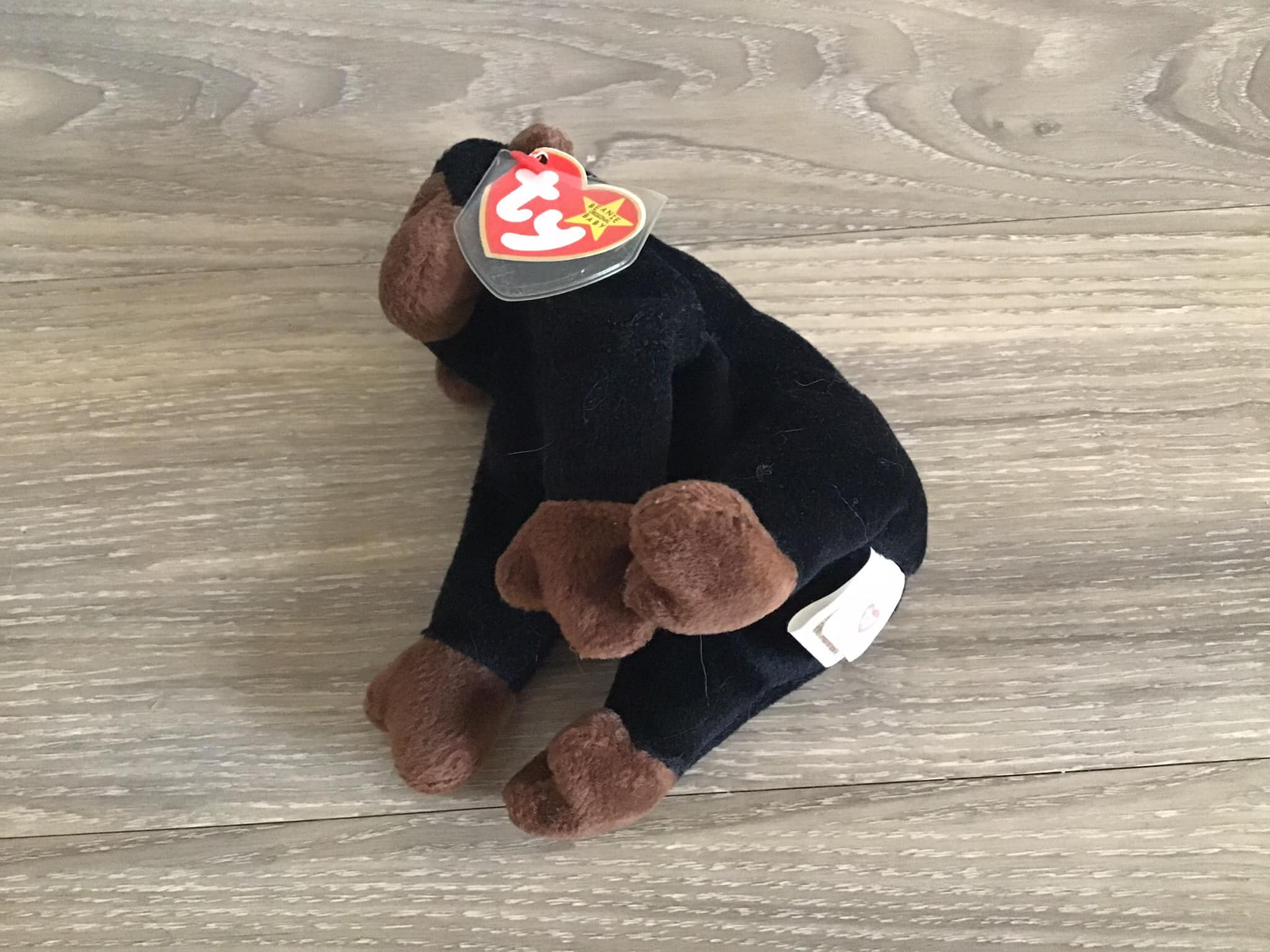 Ty Beanie Babies Congo the Monkey Stuffed Animal Plush Toy 6" - Etsy