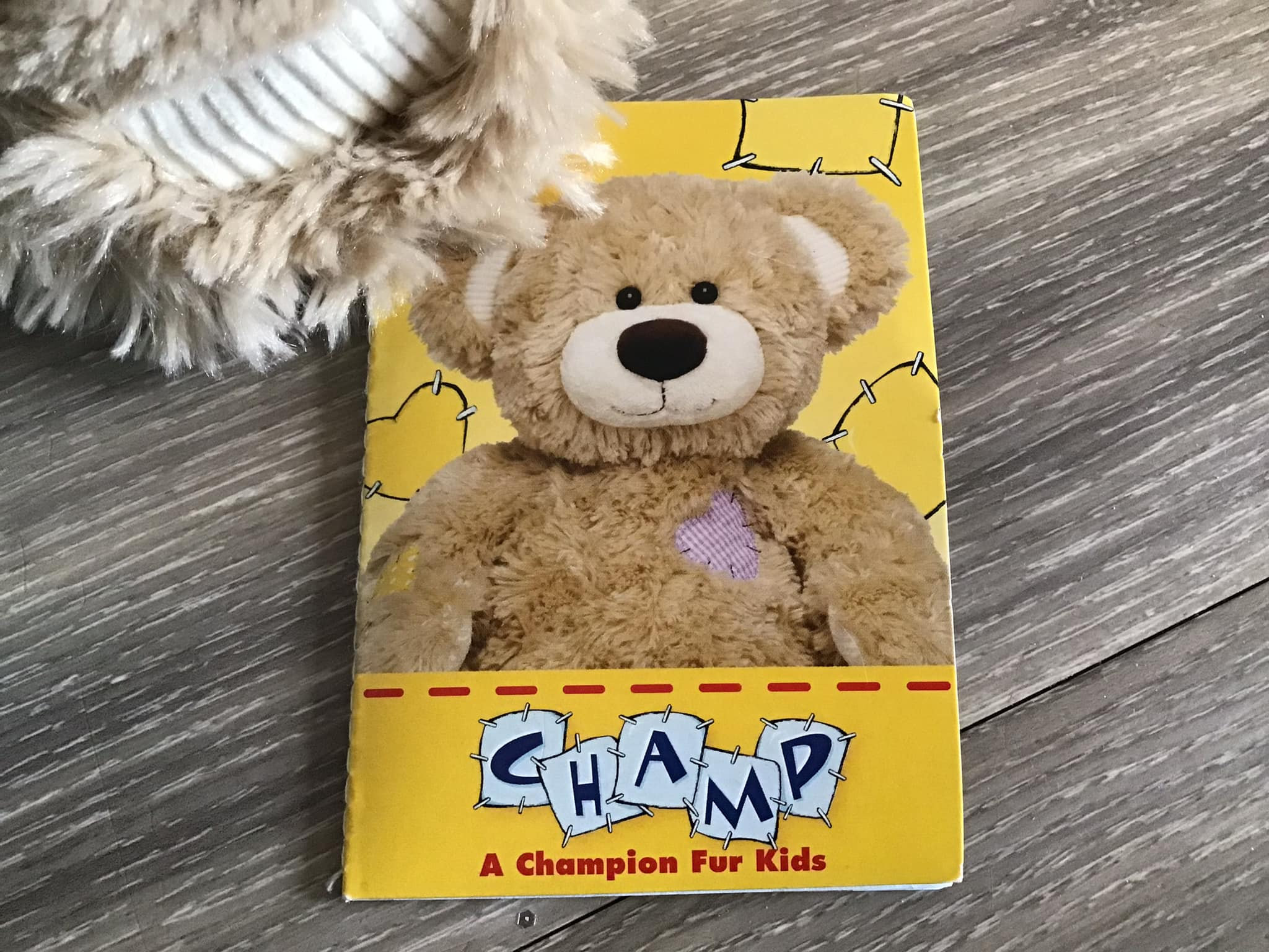 Build-a-bear Champ the Teddy Bear Stuffed Animal Plush Toy - Etsy