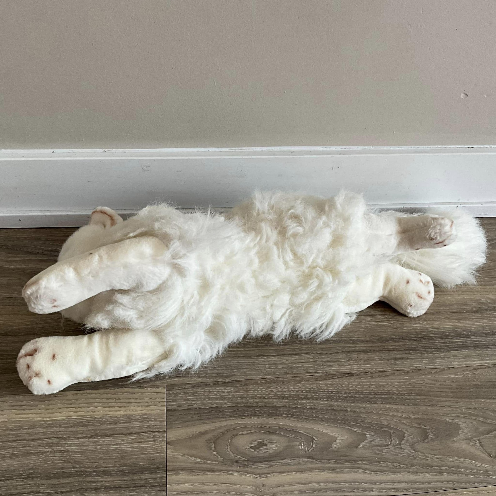 24k Polar Puff White Cat Stuffed Animal Plush Toy 21 - Etsy