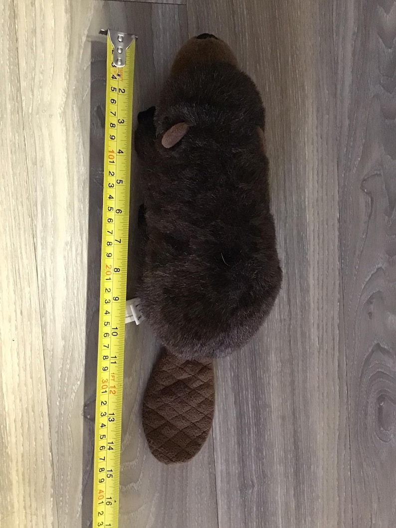 Realistic Beaver Stuffed Animal Plush Toy 14.5 - Etsy