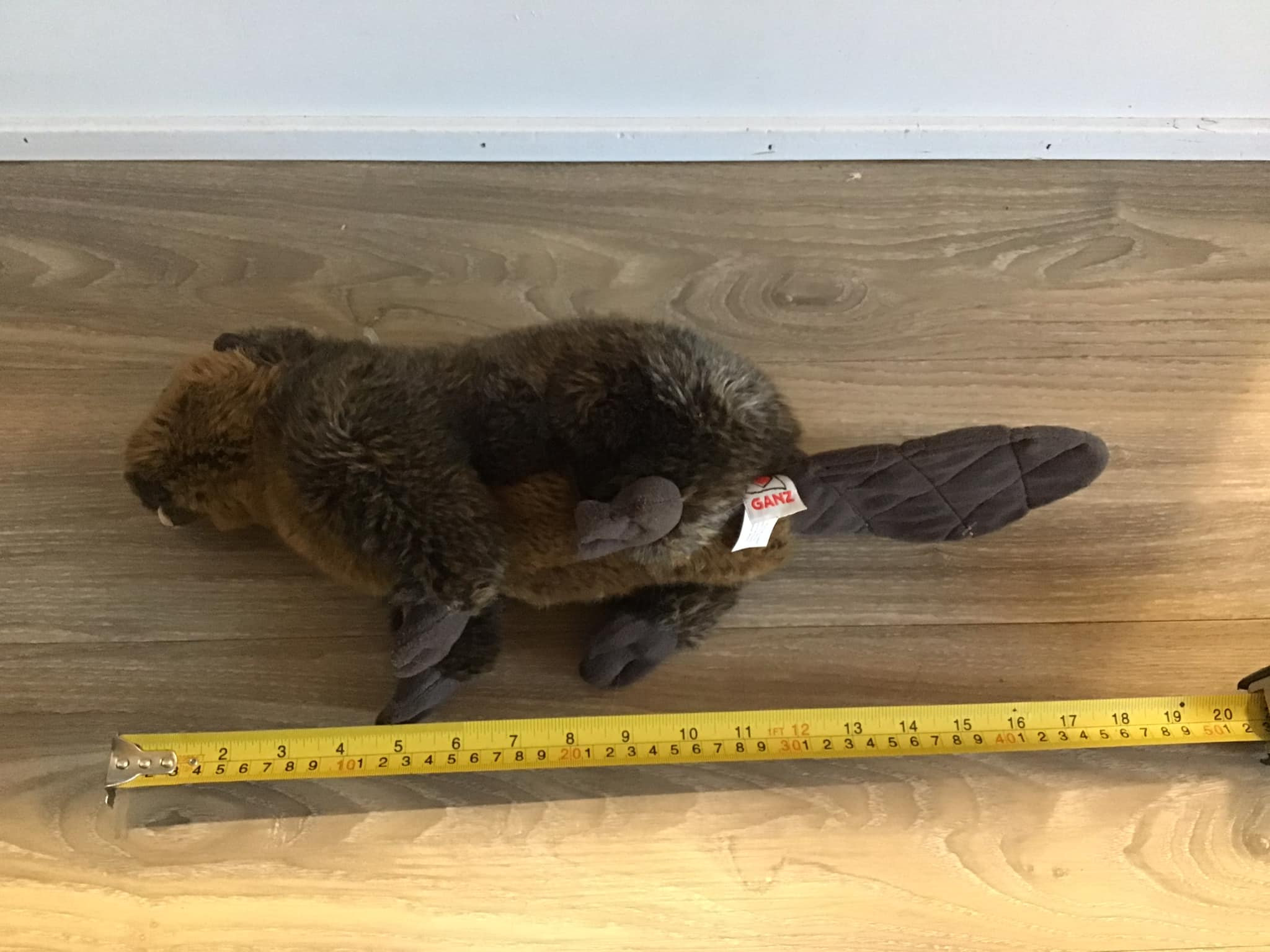 Ganz Realistic Beaver Stuffed Animal Plush Toy 19 - Etsy