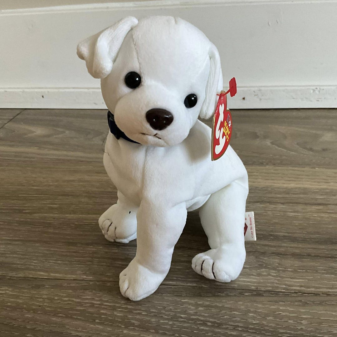 TY "color Me Beanie" Dog Birthday Kit/vintage Beanie Babies - Etsy