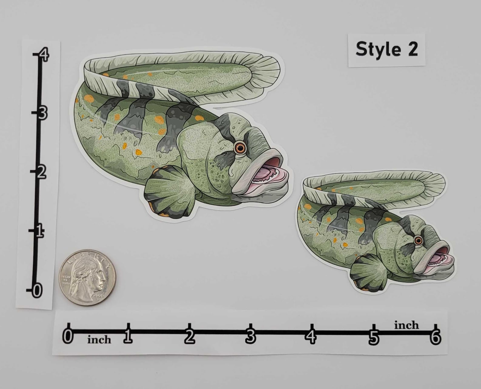 California Coast Eel Stickers – Moray Eel | Monkeyface Prickleback ...