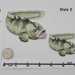 California Coast Eel Stickers – Moray Eel | Monkeyface Prickleback ...