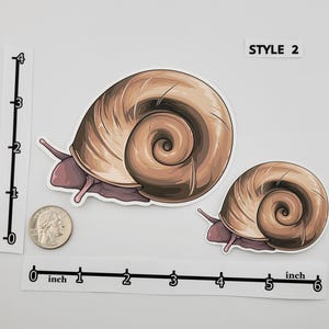 Aquarium Snail Sticker Pack – Set of 6 Vinyl Decals – Bladder ...