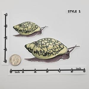 Aquarium Snail Sticker Pack – Set of 6 Vinyl Decals – Bladder ...