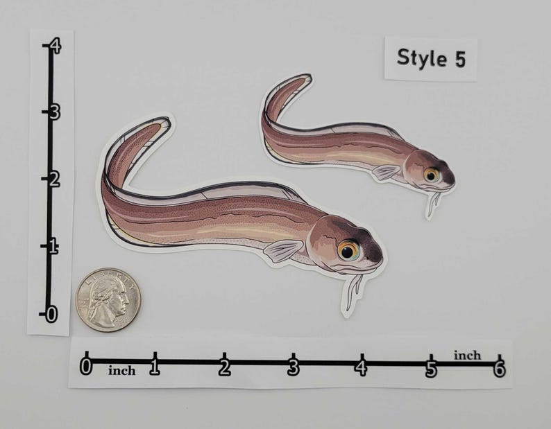 California Coast Eel Stickers – Moray Eel | Monkeyface Prickleback ...