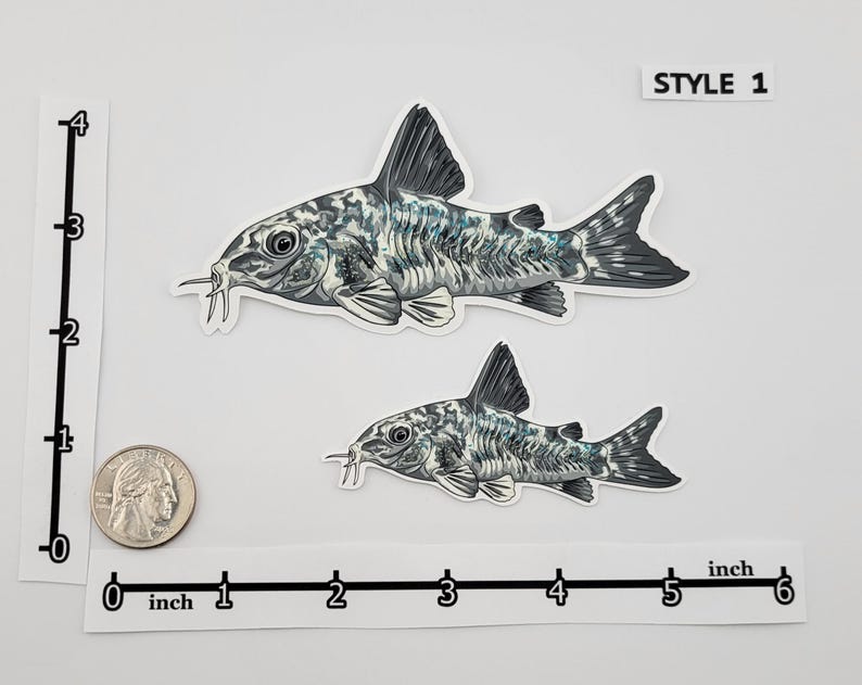 Corydora Catfish Sticker Pack – Set of 6 Vinyl Decals – Peppered ...