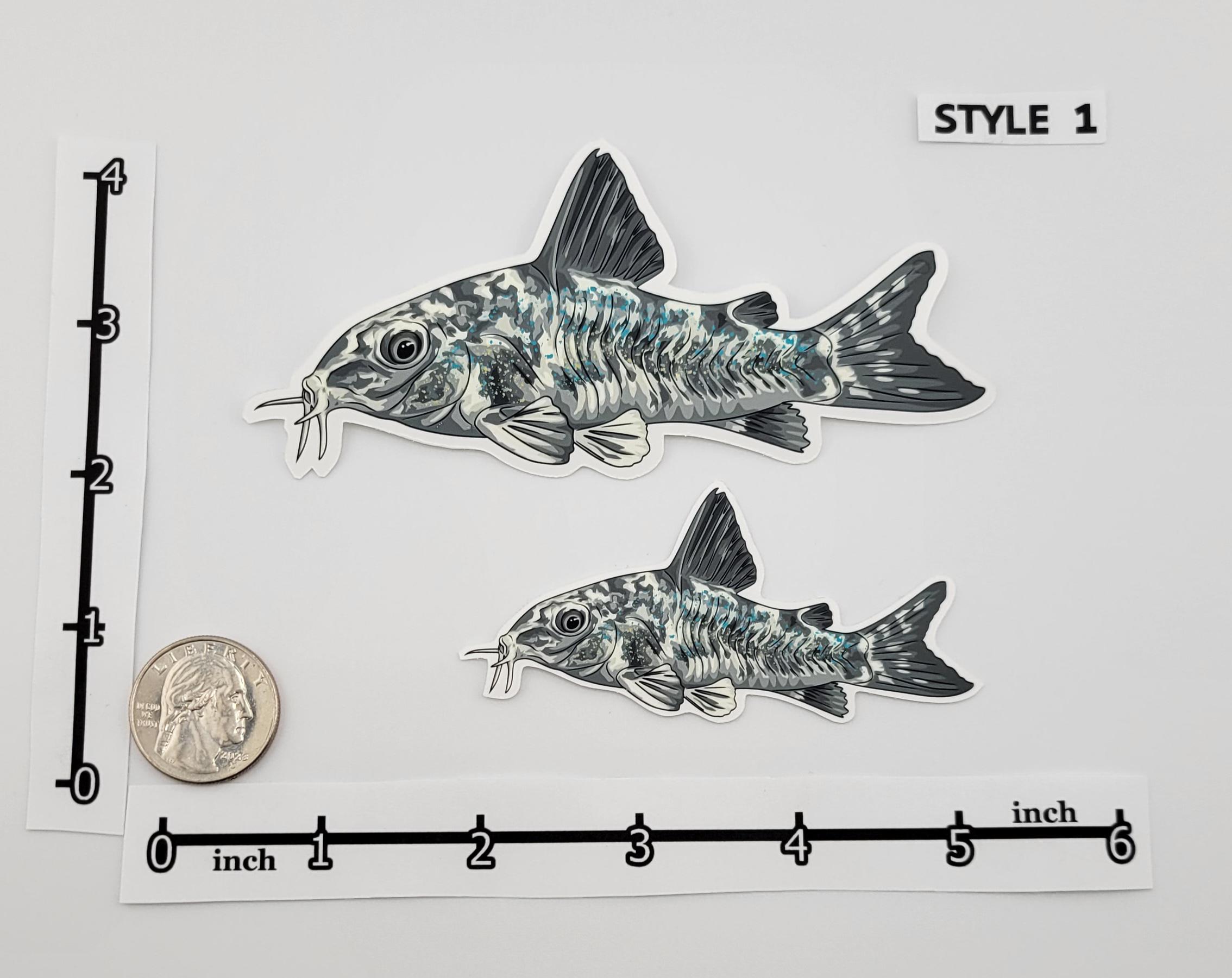 Corydora Catfish Sticker Pack – Set of 6 Vinyl Decals – Peppered ...