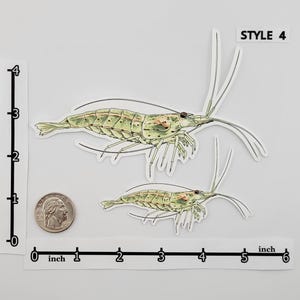 Shrimp Sticker Pack – Set of 6 Vinyl Decals – Bloody Mary, Blue Dream ...