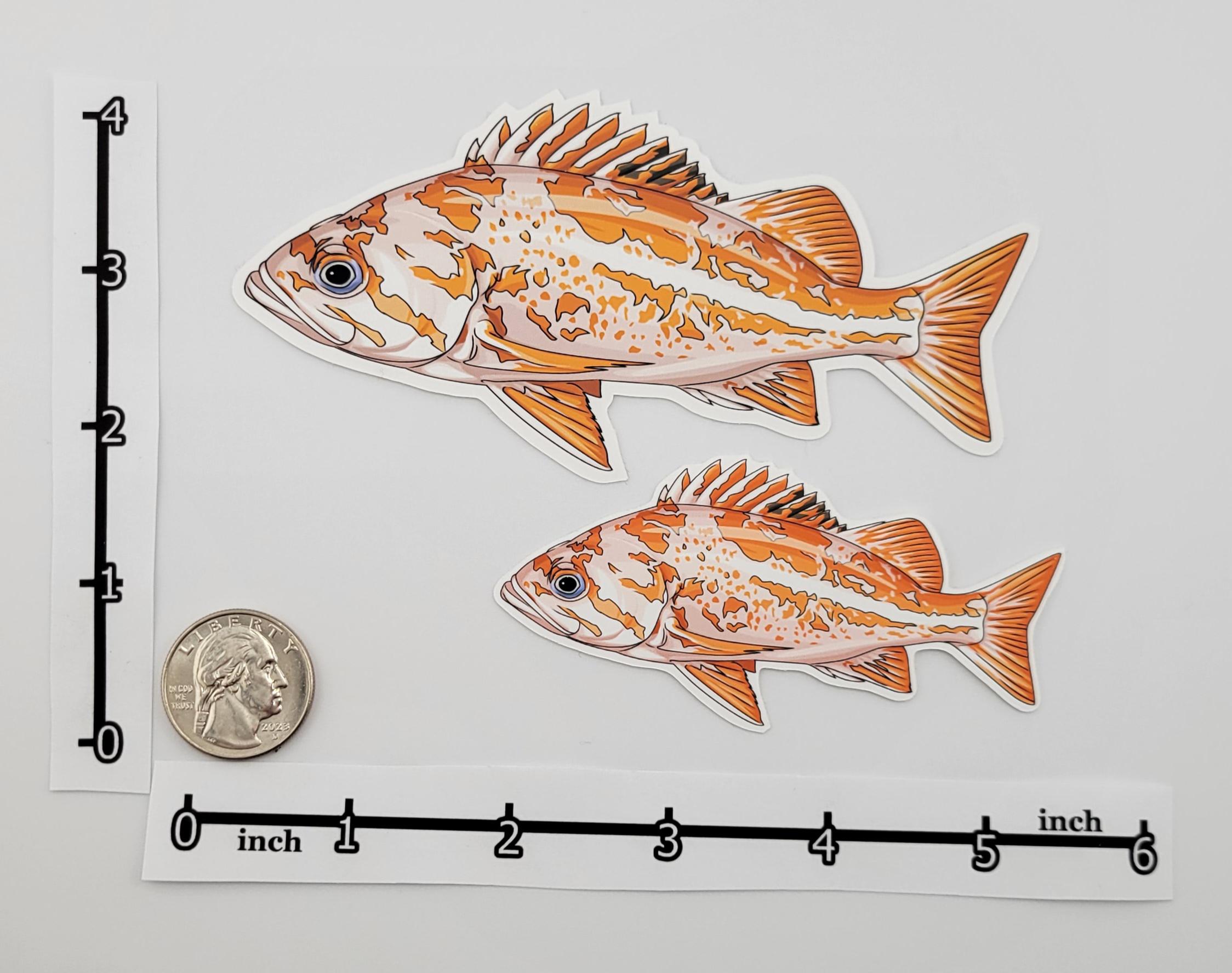 Pacific Northwest Marine Animal Sticker Pack– Harbor Seal, Tide Pool ...