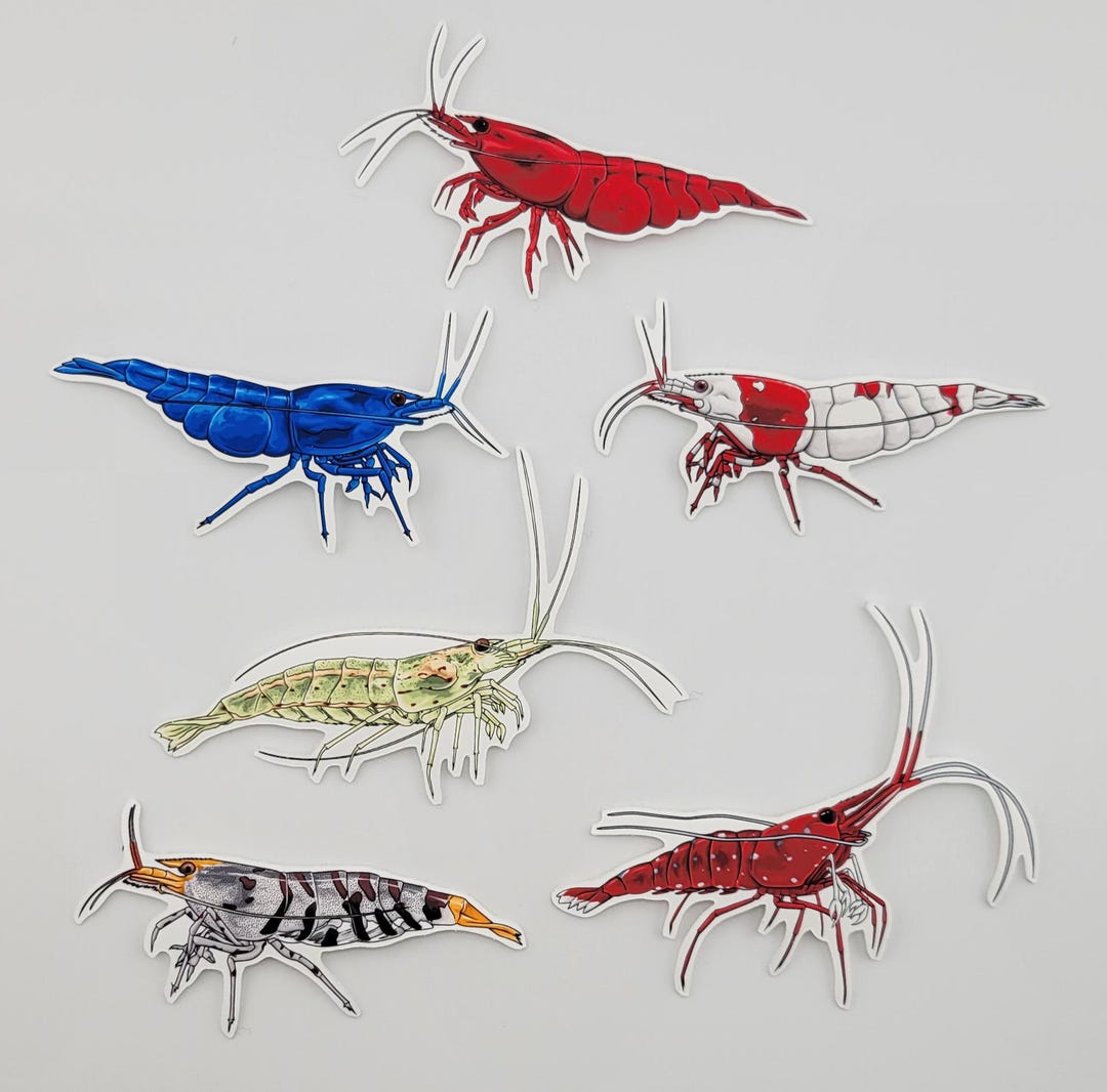 Shrimp Sticker Pack – Set of 6 Vinyl Decals – Bloody Mary, Blue Dream ...