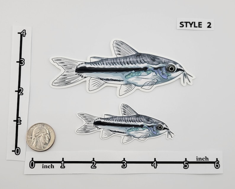Corydora Catfish Sticker Pack – Set of 6 Vinyl Decals – Peppered ...