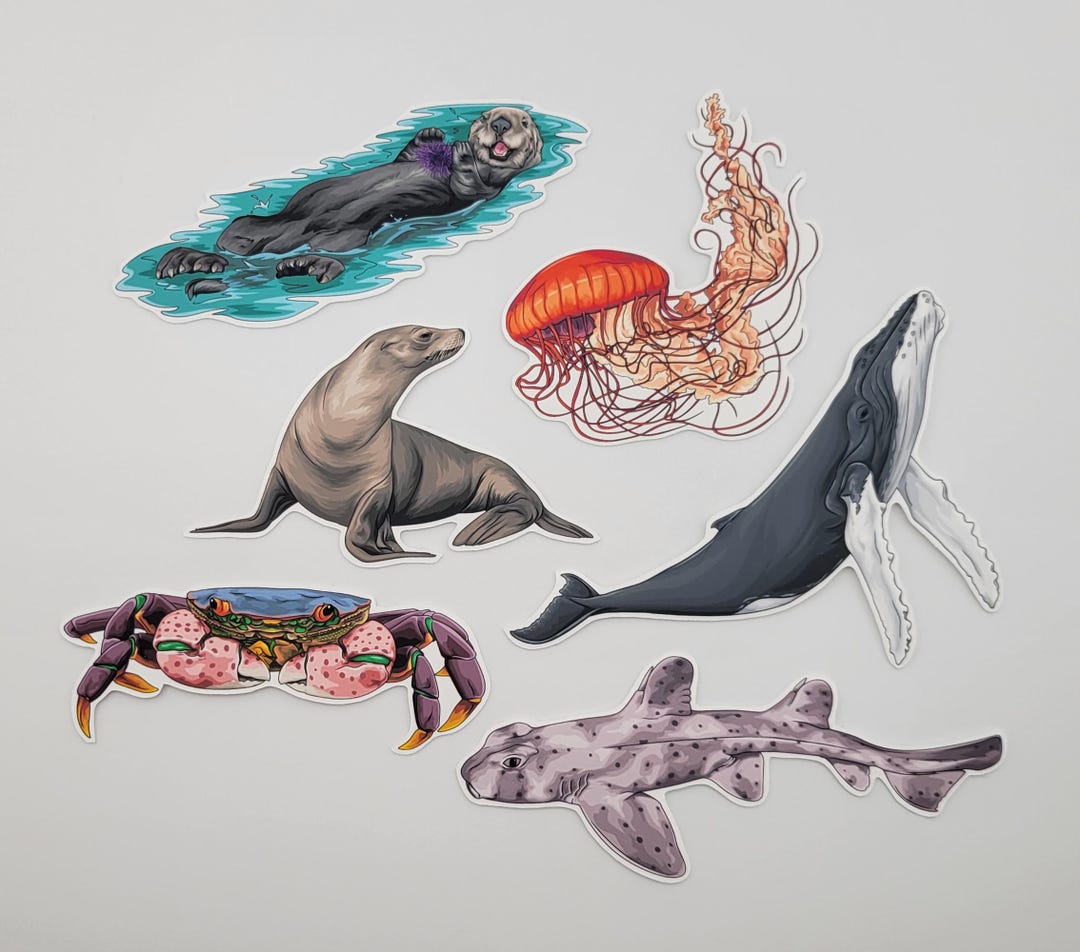 California Coast Marine Animal Stickers – Sea Otter | Sea Lion ...
