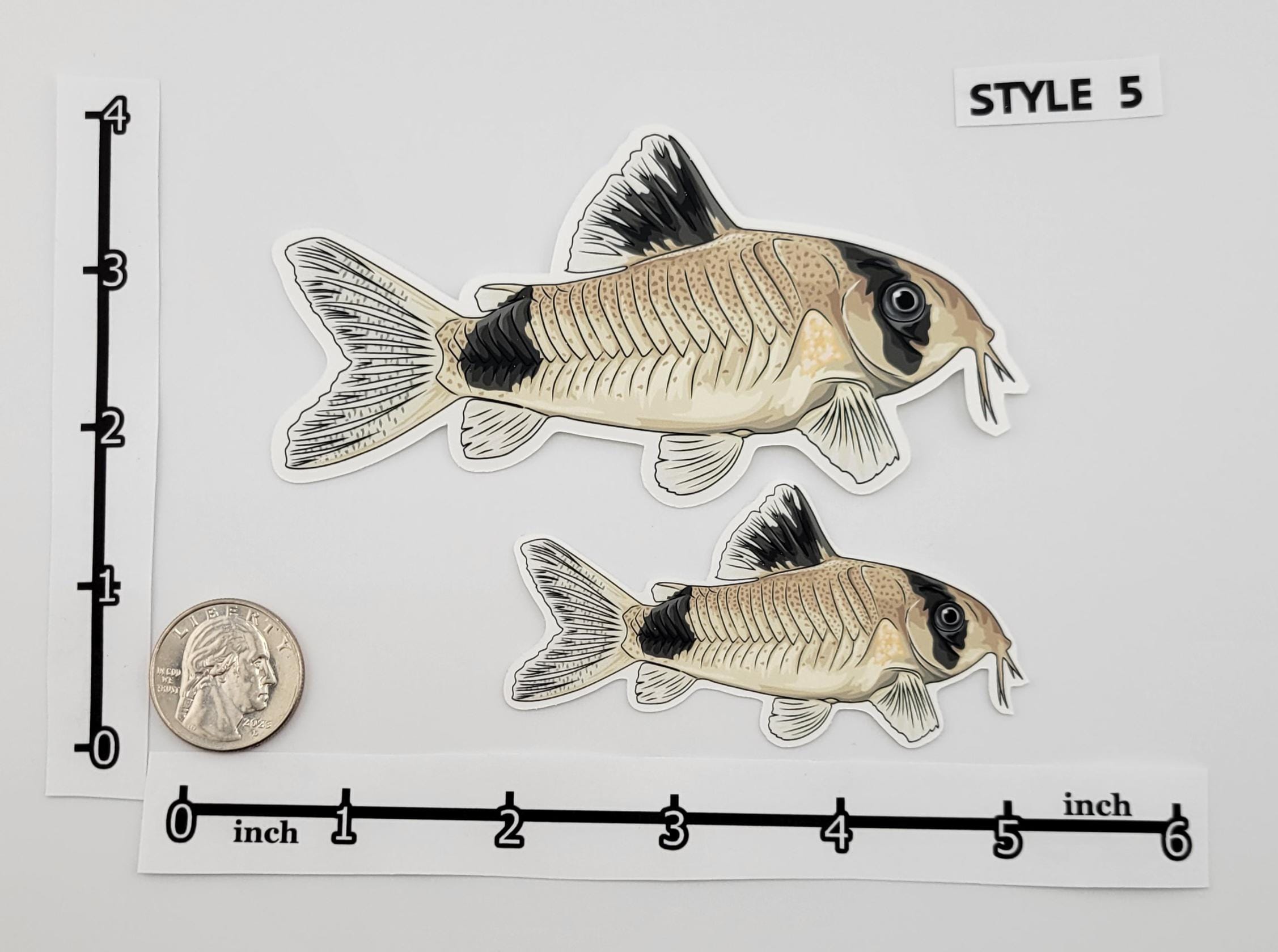 Corydora Catfish Sticker Pack – Set of 6 Vinyl Decals – Peppered ...