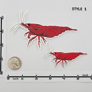 Shrimp Sticker Pack – Set of 6 Vinyl Decals – Bloody Mary | Blue Dream ...