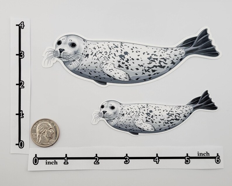 Pacific Northwest Marine Animal Sticker Pack– Harbor Seal, Tide Pool ...