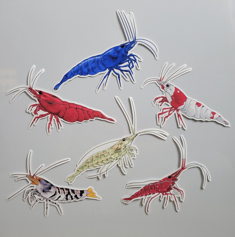 Shrimp Sticker Pack Set of 6 Vinyl Decals Bloody Mary, Blue Dream ...