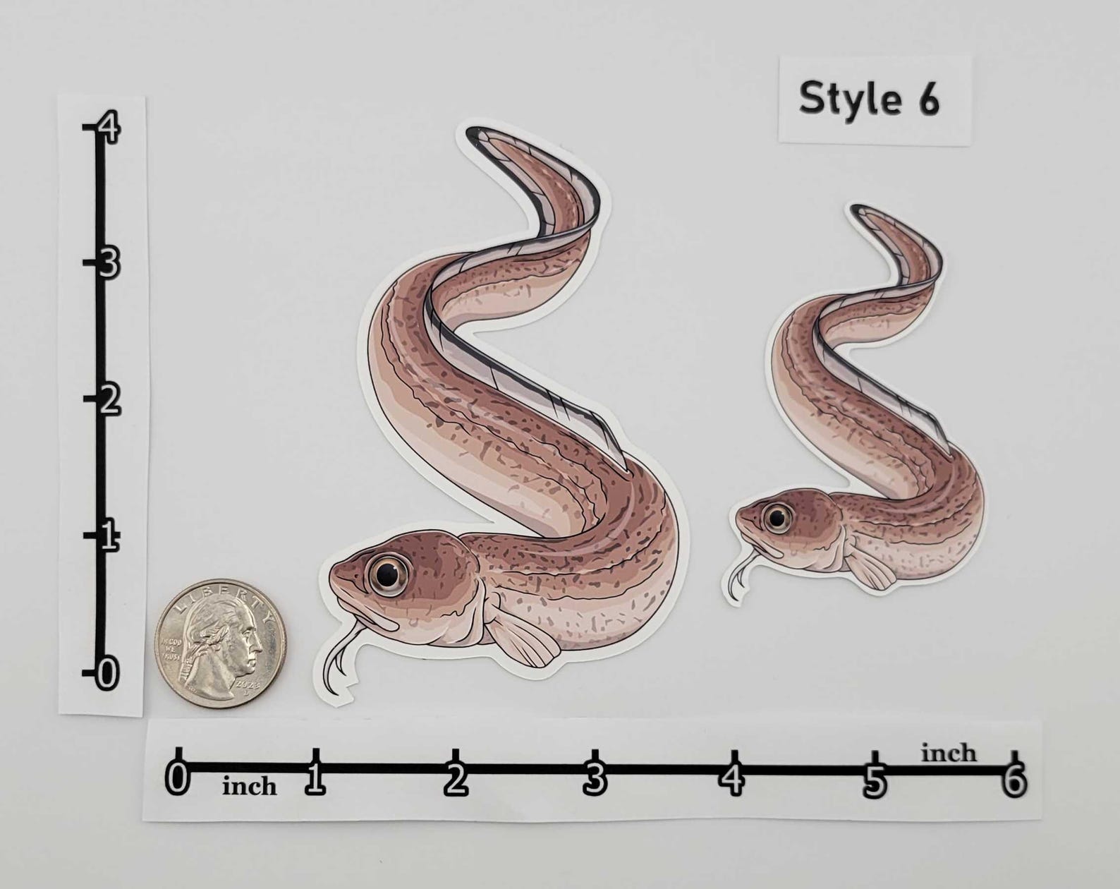 California Coast Eel Stickers – Moray Eel | Monkeyface Prickleback ...