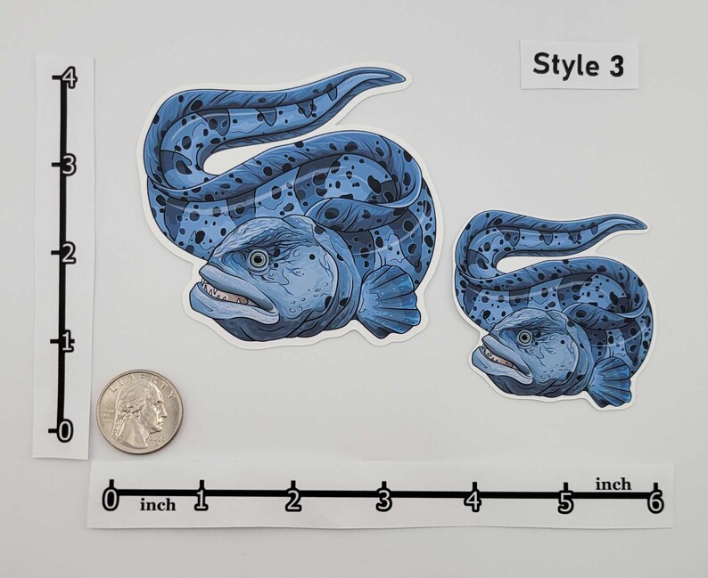 California Coast Eel Stickers – Moray Eel | Monkeyface Prickleback ...