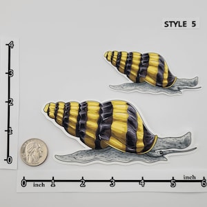 Aquarium Snail Sticker Pack – Set of 6 Vinyl Decals – Bladder ...