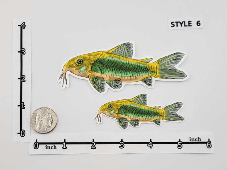 Corydora Catfish Sticker Pack – Set of 6 Vinyl Decals – Peppered ...