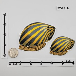 Aquarium Snail Sticker Pack – Set of 6 Vinyl Decals – Bladder ...