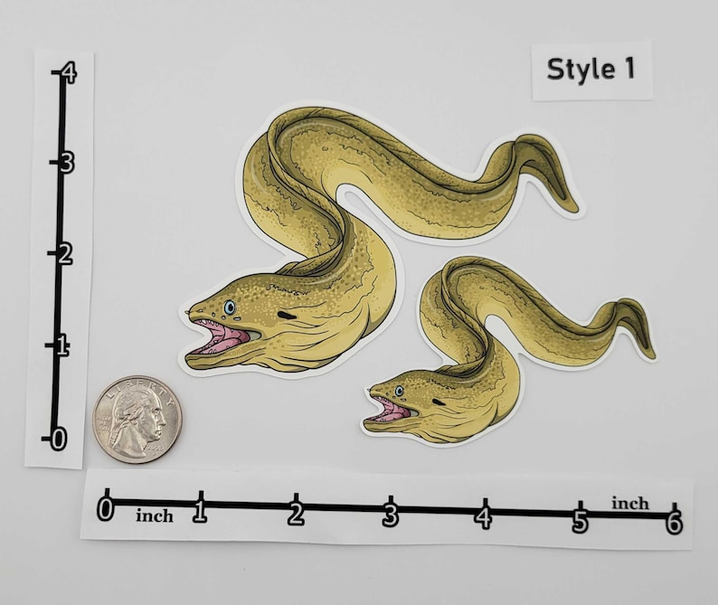 California Coast Eel Stickers – Moray Eel | Monkeyface Prickleback ...