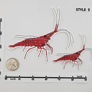 Shrimp Sticker Pack – Set of 6 Vinyl Decals – Bloody Mary, Blue Dream ...