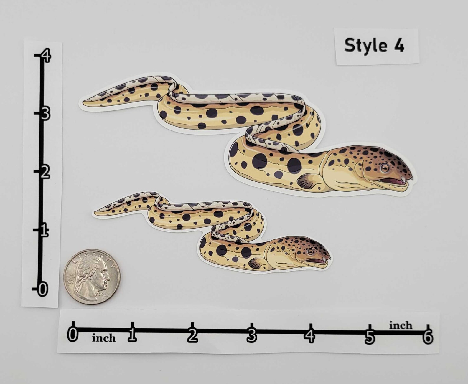 California Coast Eel Stickers – Moray Eel | Monkeyface Prickleback ...