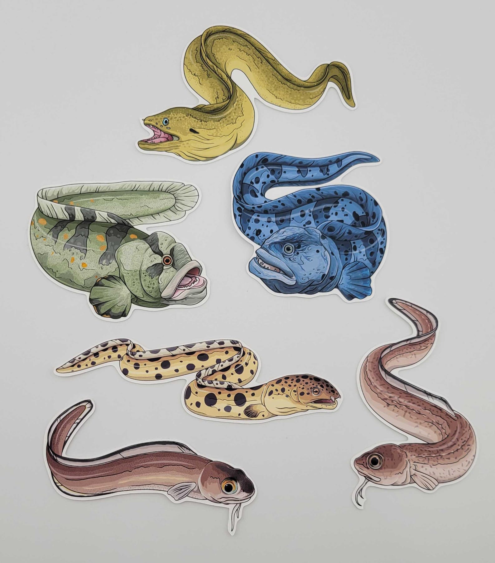 California Coast Eel Stickers – Moray Eel | Monkeyface Prickleback ...
