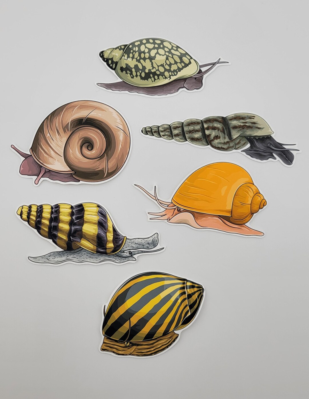 Aquarium Snail Sticker Pack – Set of 6 Vinyl Decals – Bladder ...