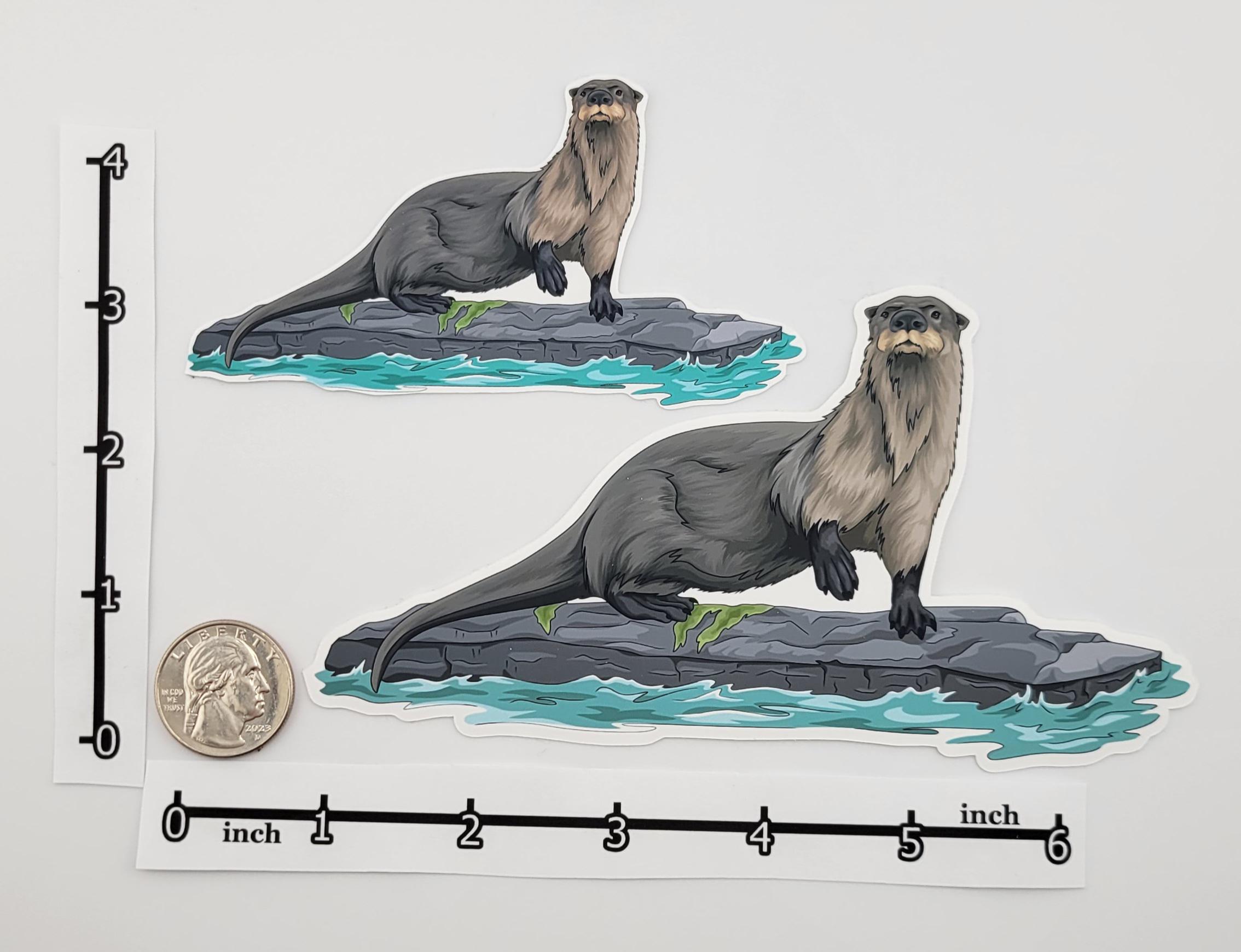 Pacific Northwest Marine Animal Sticker Pack– Harbor Seal, Tide Pool ...