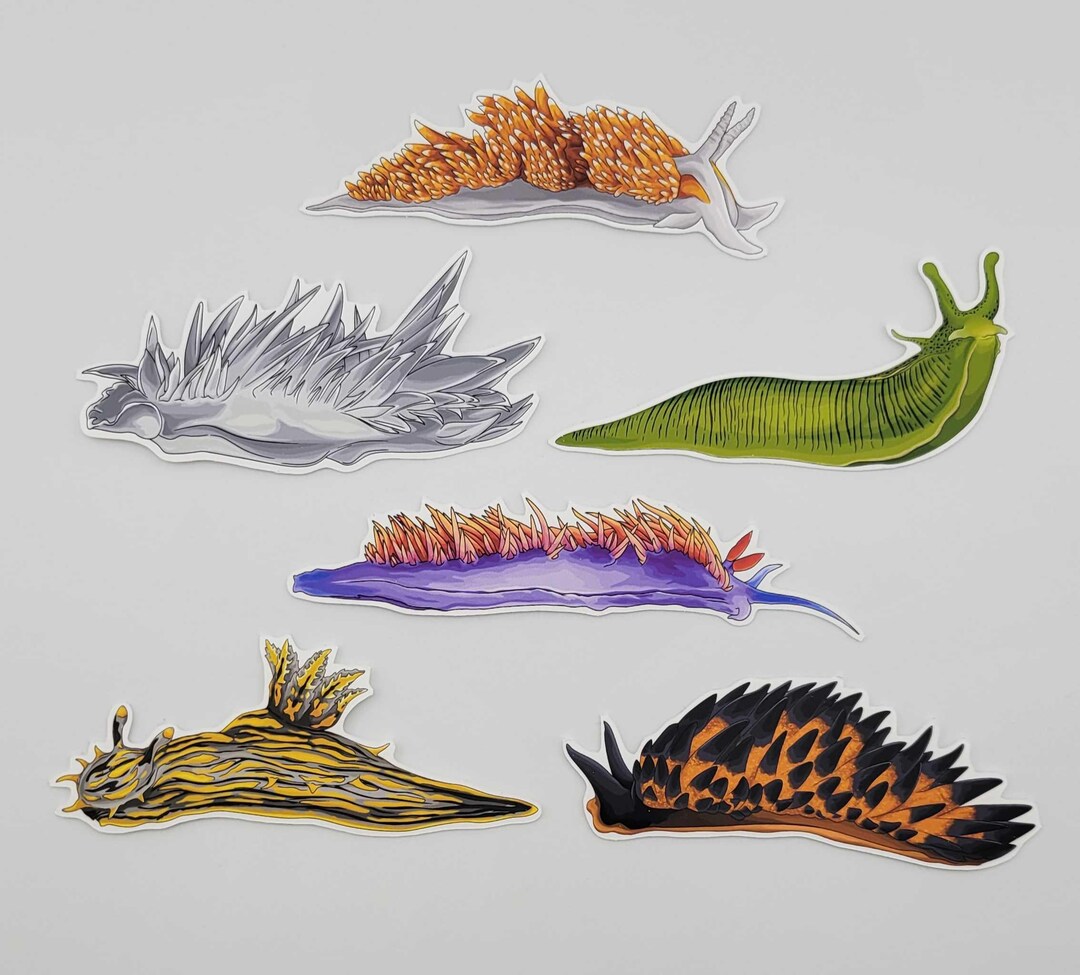 California Nudibranch Sea Slug Sticker Pack – Set of 6 – Opalescent ...