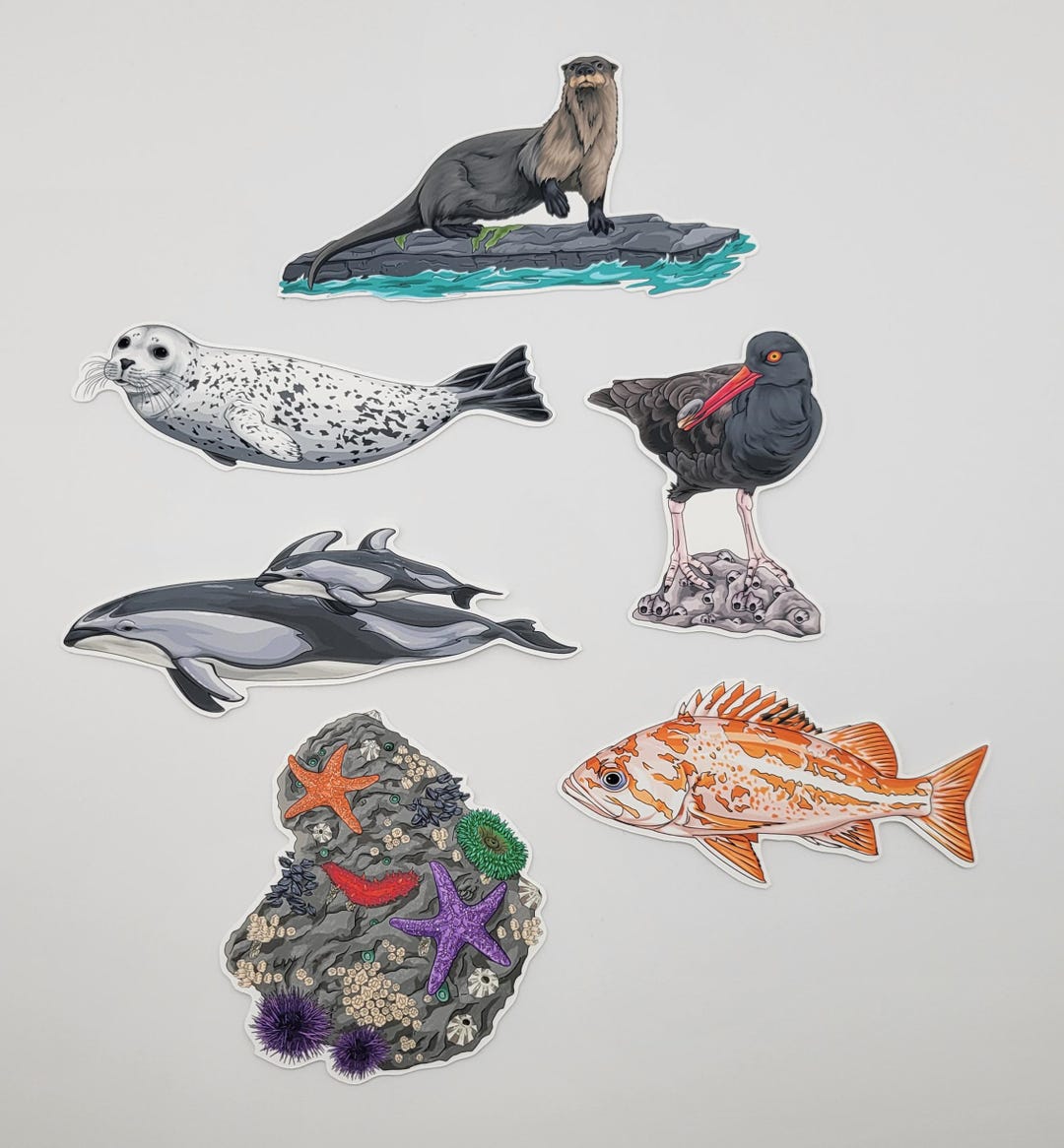 Pacific Northwest Marine Animal Sticker Pack– Harbor Seal, Tide Pool ...