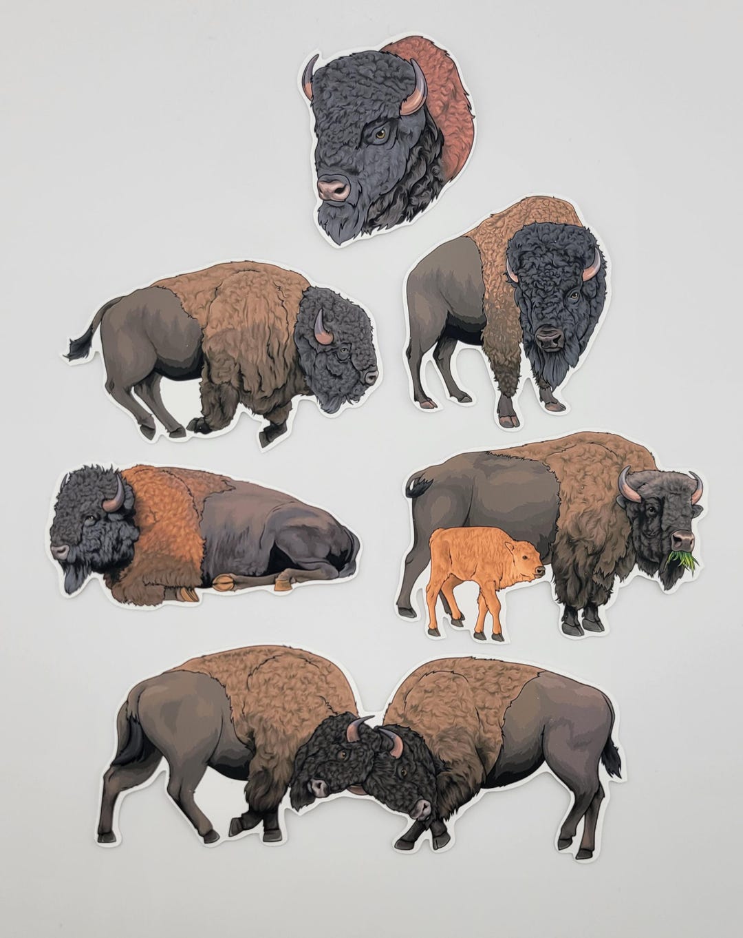 North American Bison Sticker Pack – Set of 6 Vinyl Decals – Perfect for ...