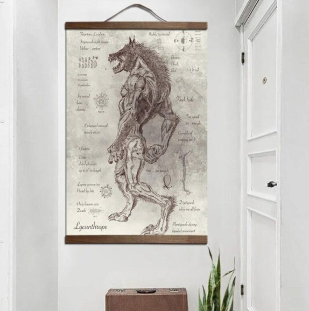 Werewolf Canvas Wall Art Banner Ancient Werewolf Anatomy Lycanthropy ...