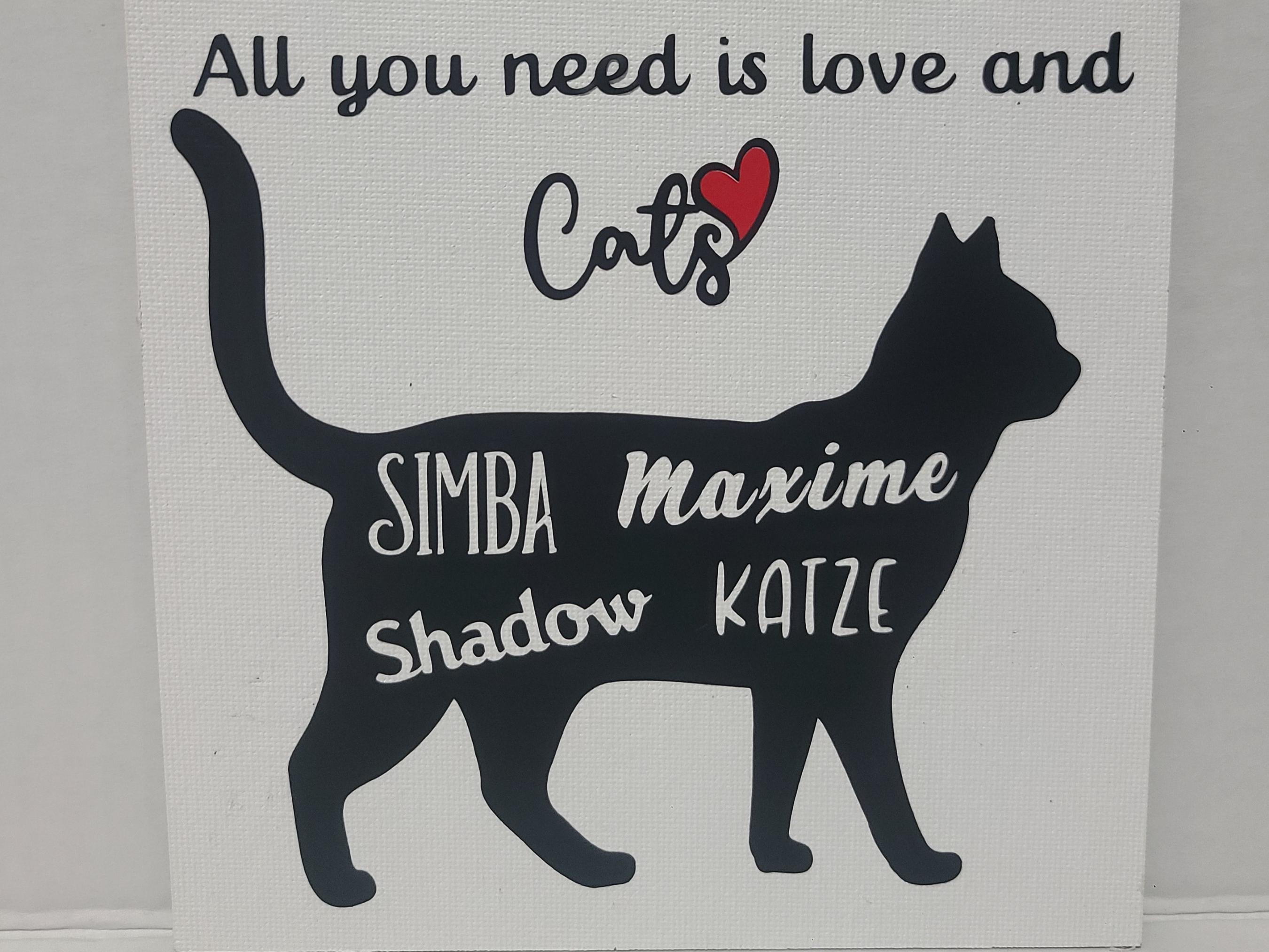 Custom Cat Name Magnetic Canvas - Etsy