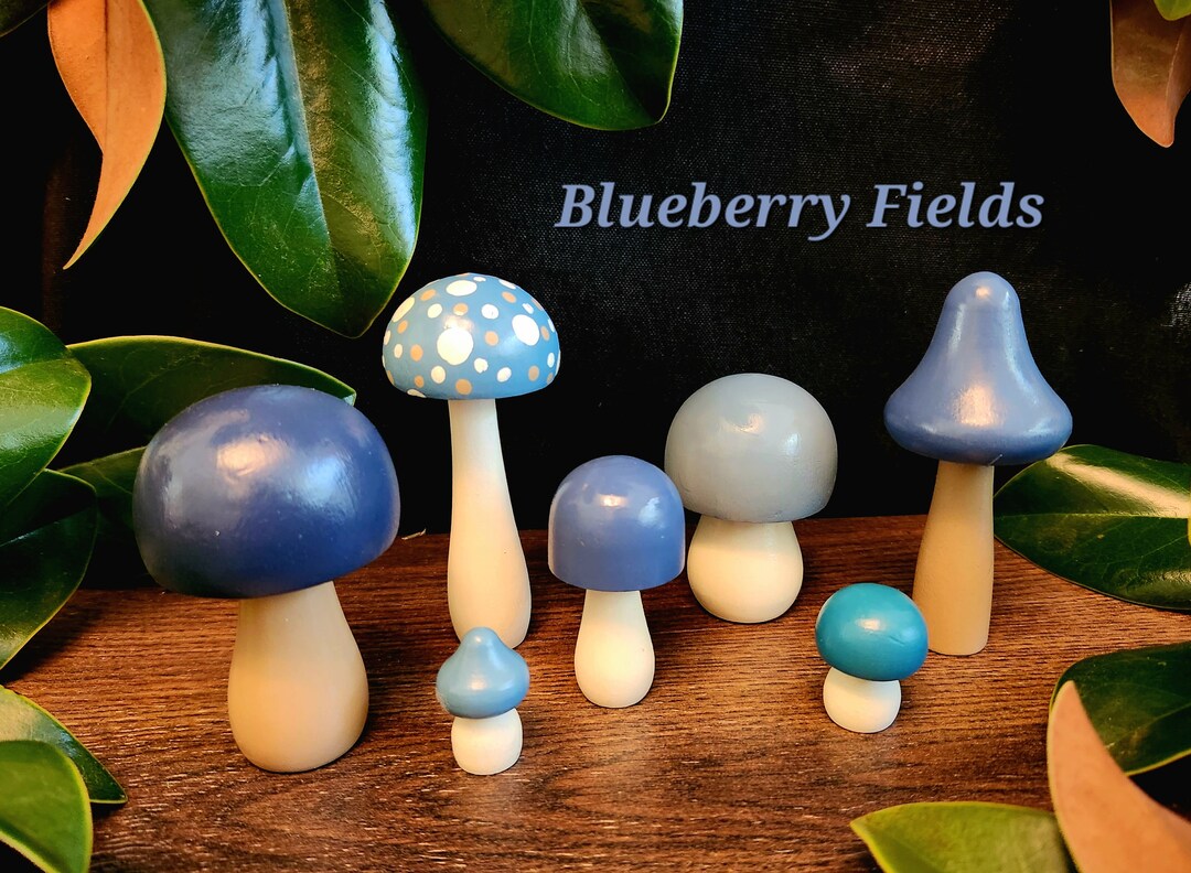 Hand-painted Wooden Mushroom Set -seven (7) Pieces, Super Cute! for ...