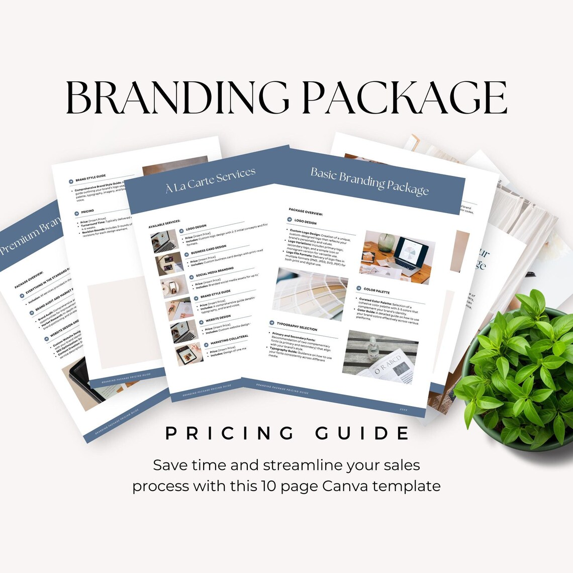 Branding Package Pricing Guide, New Client Welcome Packet, Brand Design ...