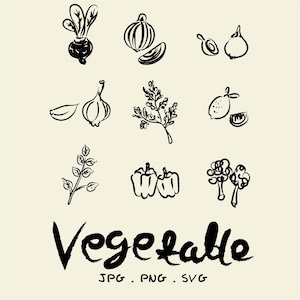 Hand Drawn Vegetable Clip Art – Whimsical Doodle SVG PNG (digital ...