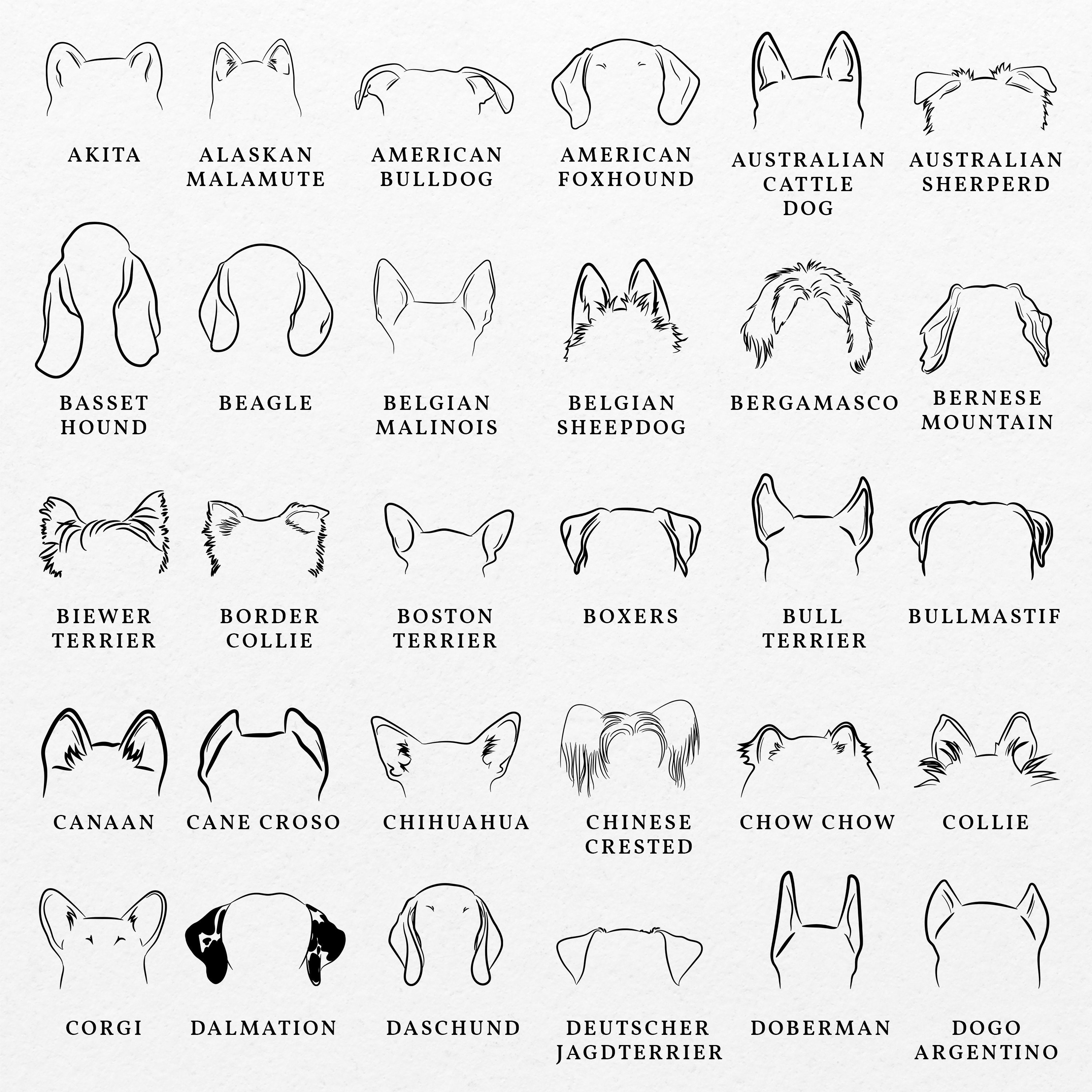 Dog Breed Ears Illustration SVG PNG Bundle Hand Drawn Dog - Etsy UK