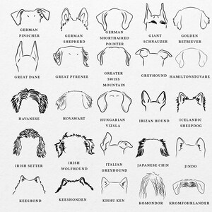 Hunderasse Ohren Illustration SVG PNG Bundle Handgezeichnete