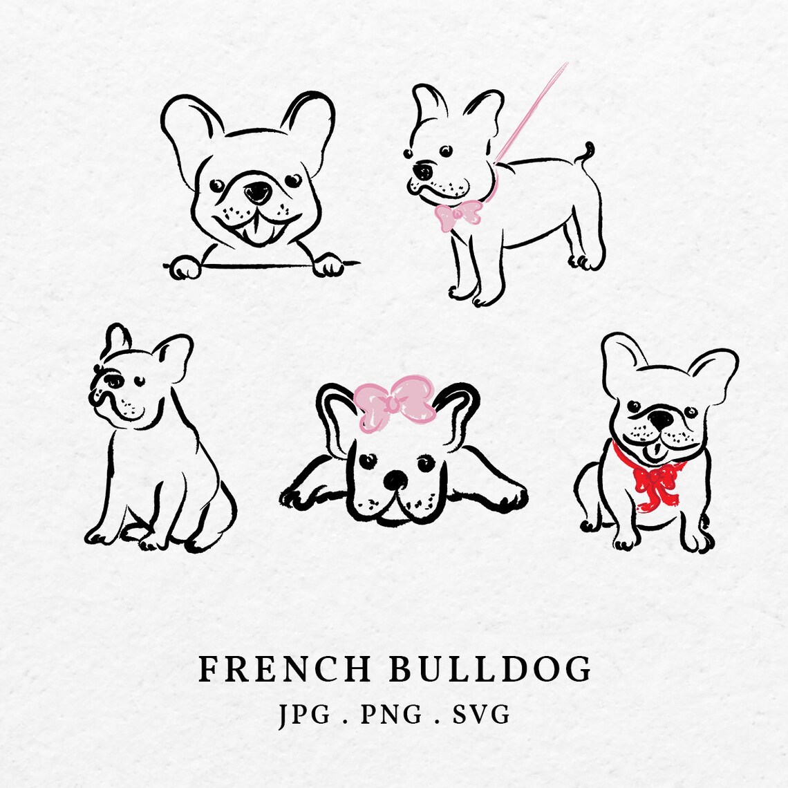 Hand Drawn French Bulldog Dog Breed Illustration Bundle SVG PNG ...