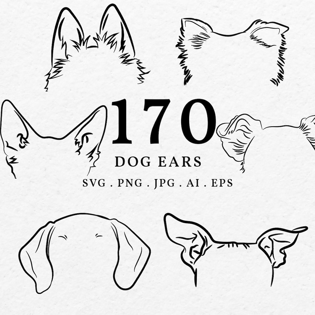 Dog Breed Ears Illustration SVG PNG Bundle Hand Drawn Dog Ears Outline ...