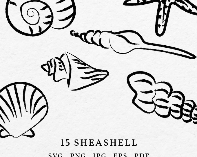 Shell Illustration Clip Art SVG PNG Bundle - Hand Drawn Whimsical ...