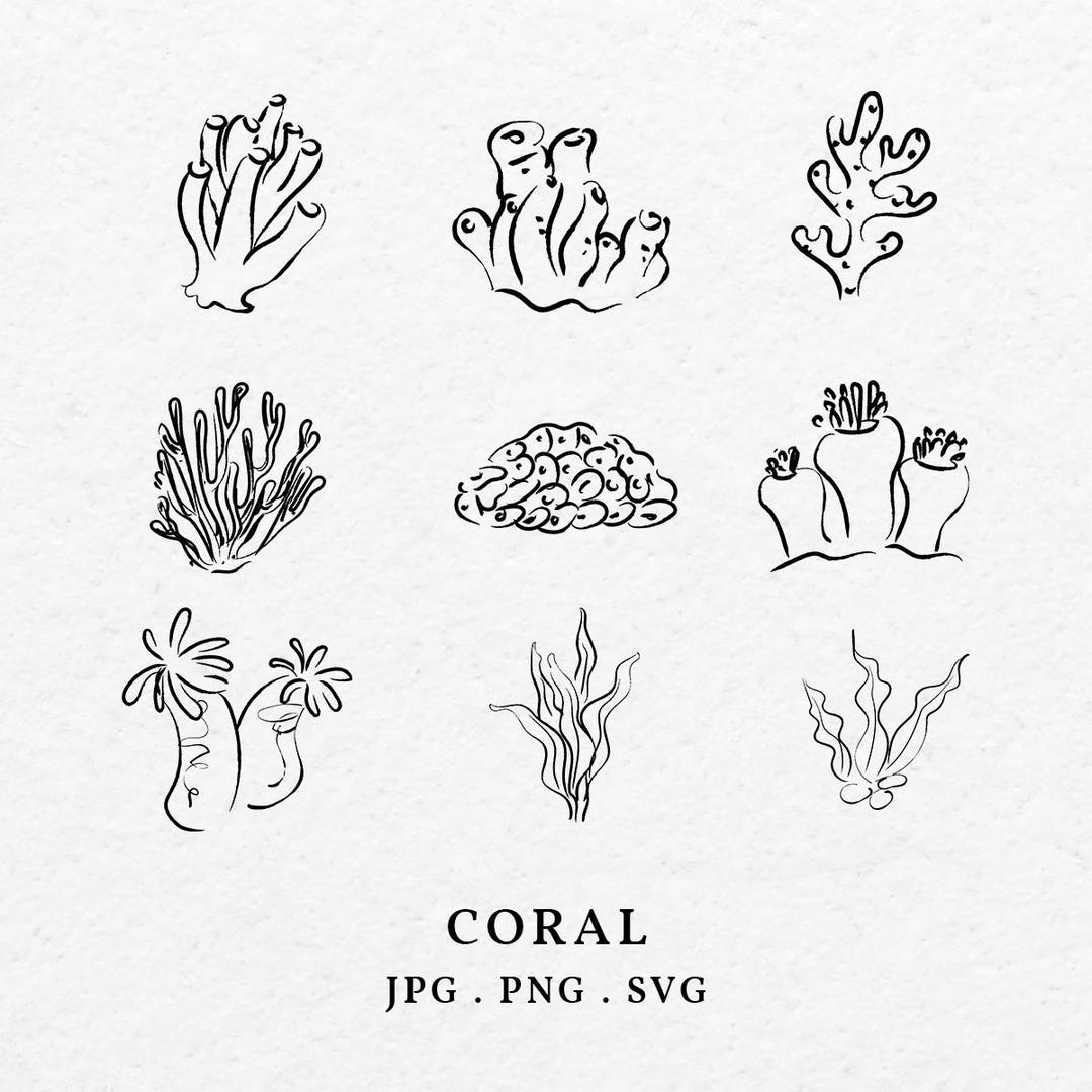 Hand Drawn Coral Illustration Bundle Clip Art SVG PNG - Drawing Coral ...